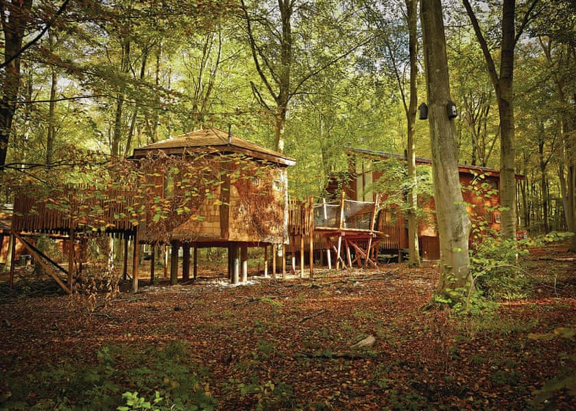 Golden Oak Treehouse (Pet) - Forest of Dean Lodges - Lodges - Book ...