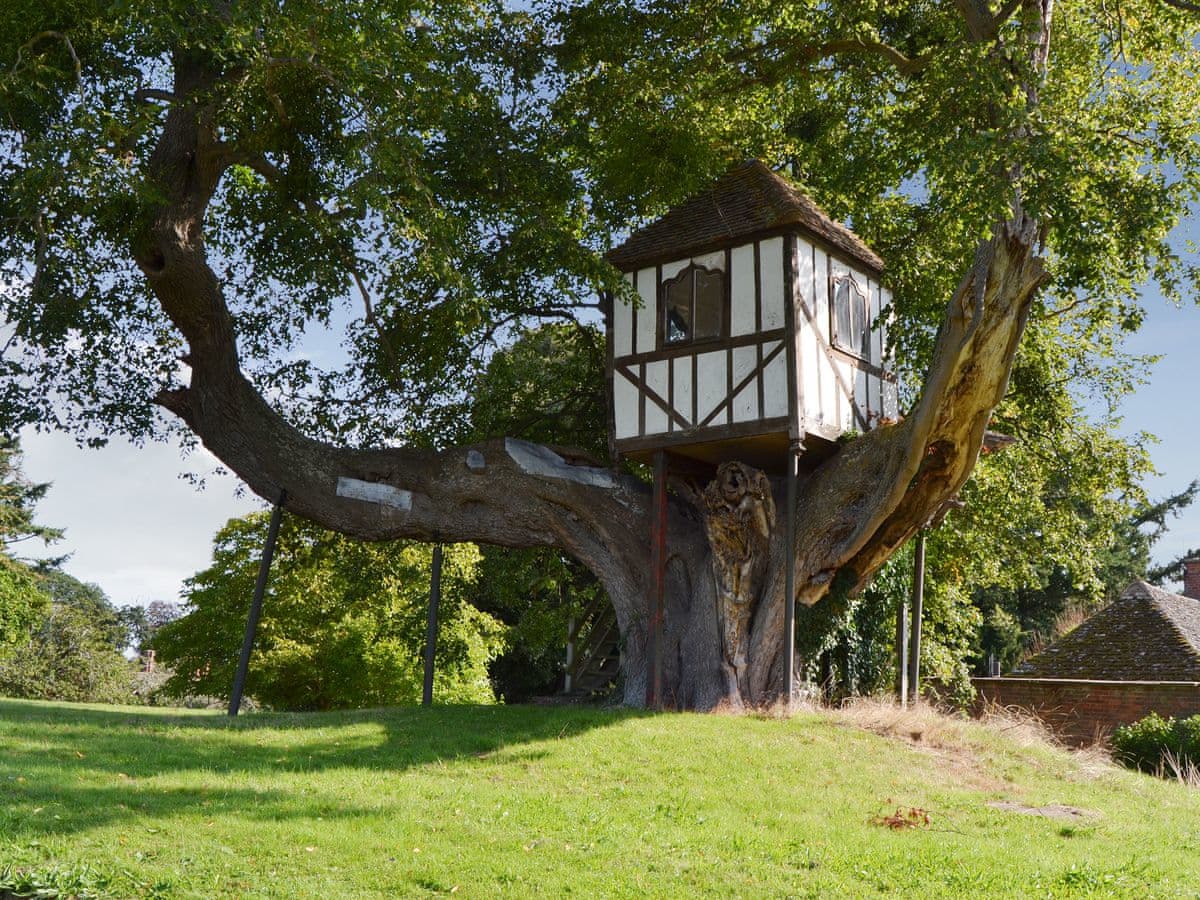 Pitchford: The world’s oldest treehouse – Topographical tales