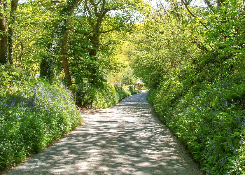 Millendreath Beach Resort in Millendreath, Looe, South Cornwall | Hoseasons